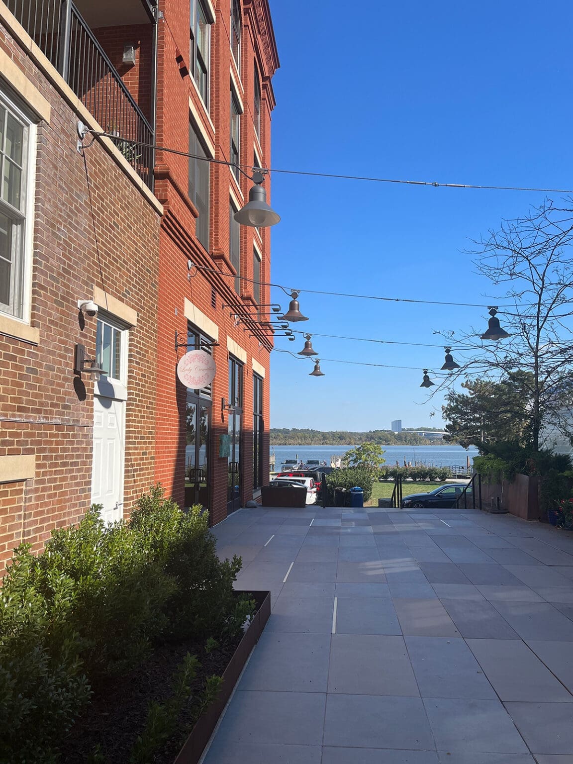 Review: Afternoon Tea at Lady Camellia in Alexandria, Virginia