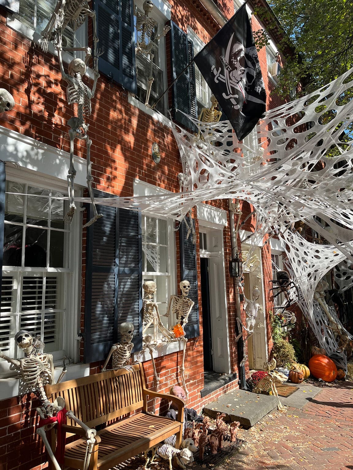 Review: Afternoon Tea at Lady Camellia in Alexandria, Virginia