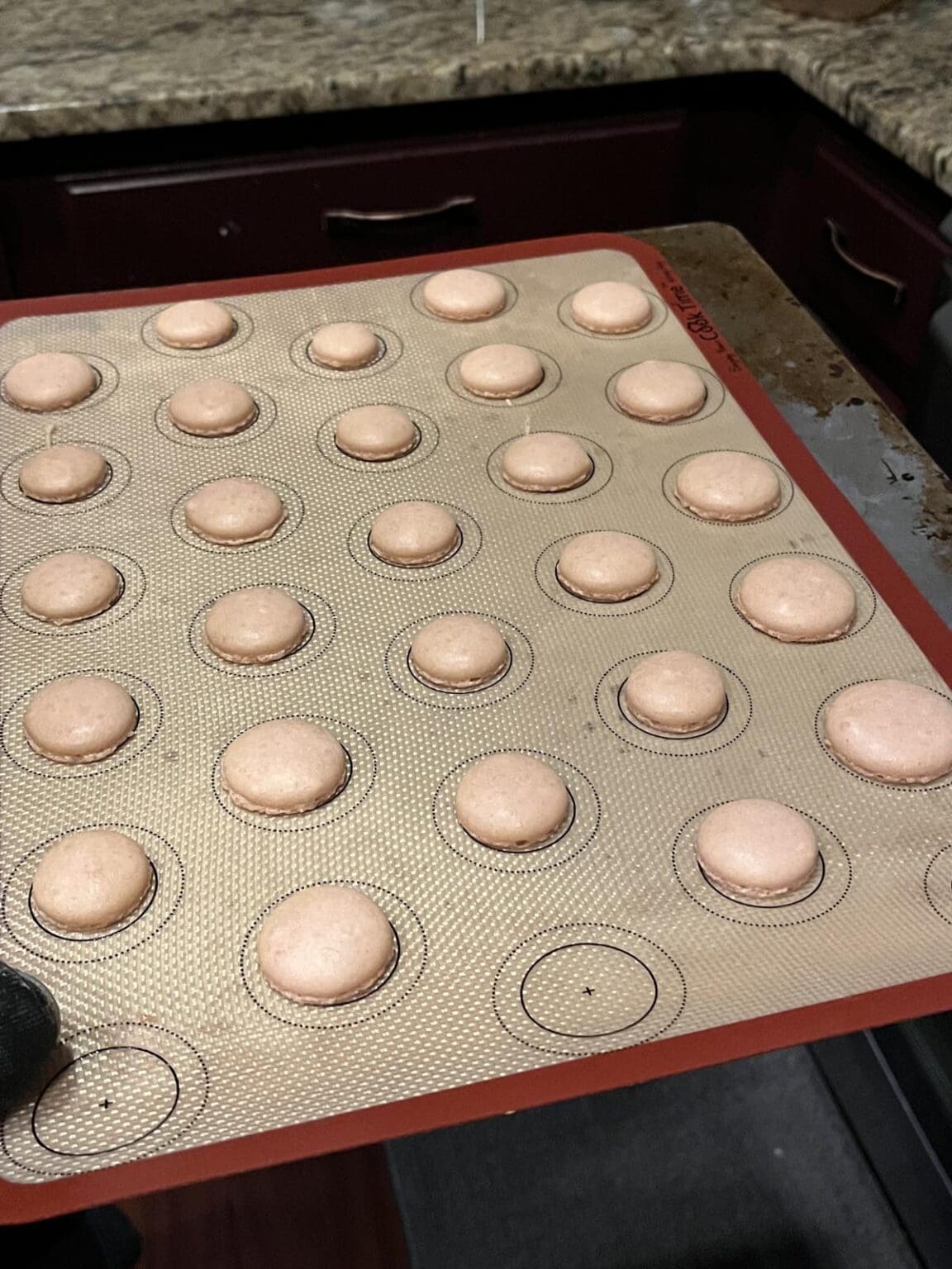Making Mini Macarons (A Gluten Free Dessert) | Scones and Doughns